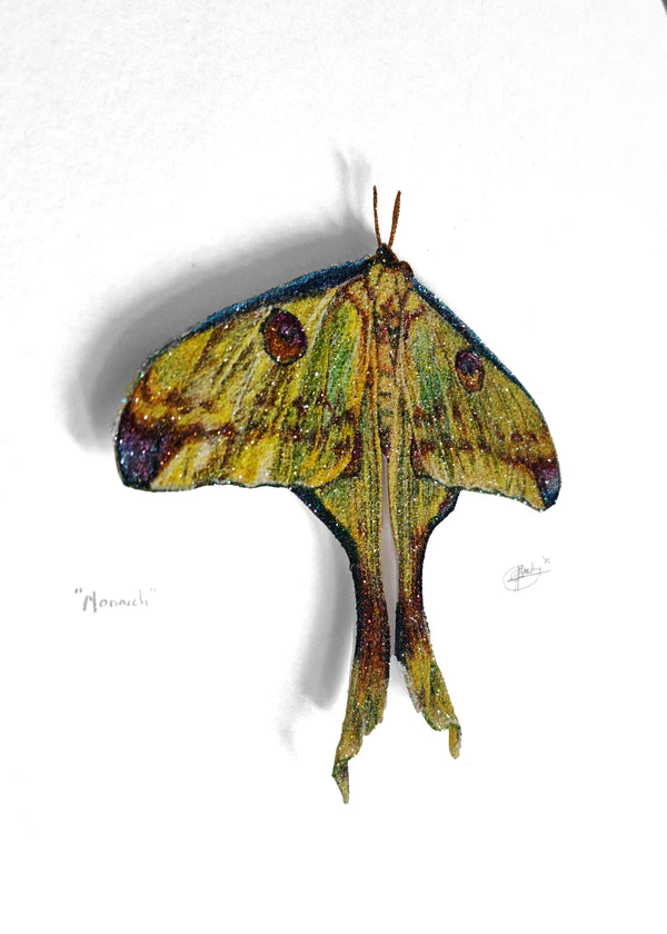 Comet Moth – round&round